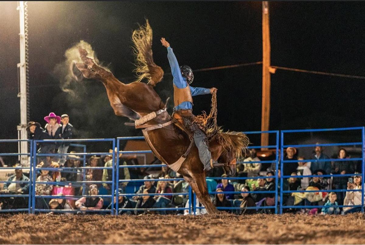 National Rodeo Association - Crows Nest - MEGA ALL ROUND
