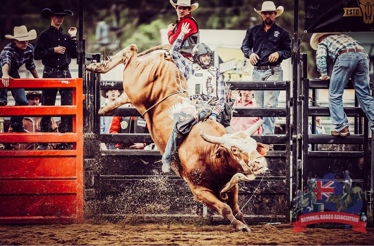 National Rodeo Association - Documents