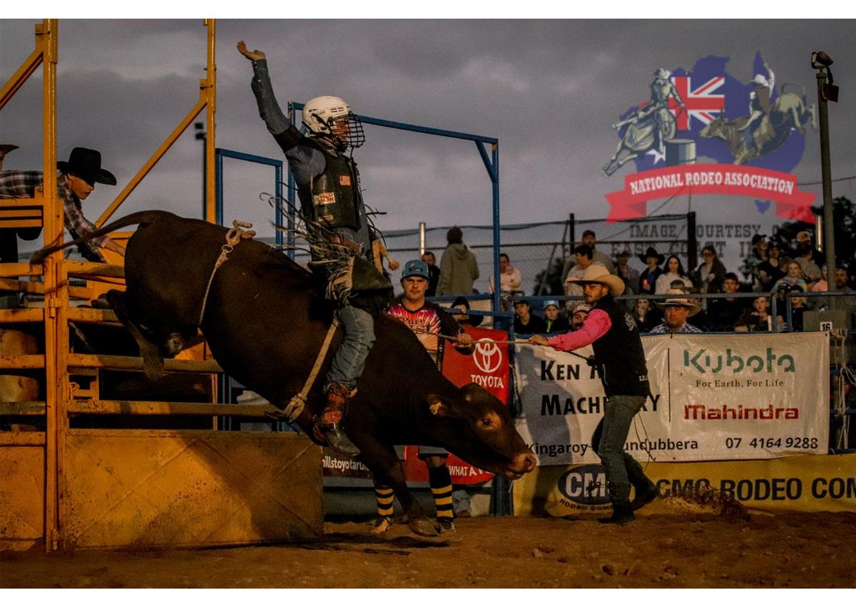 National Rodeo Association - Bucking Thunder - BULL RIDE